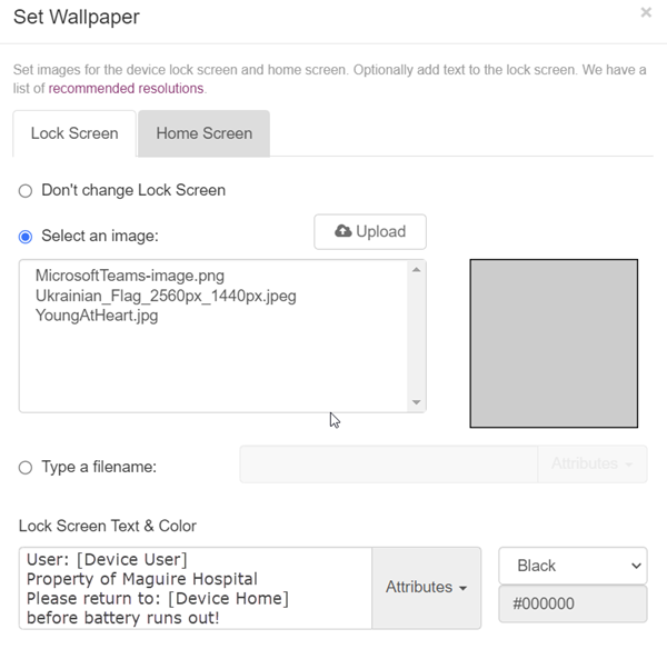 Set Wallpaper – Mobile Access Management